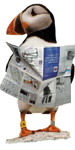 News Puffin | Audubon Seabird Institute