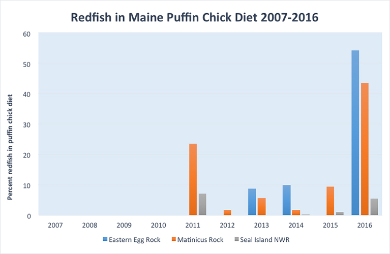 Redfish in Maine Puffin Chick Diet 2007-2016 Graph | Audubon Seabird ...